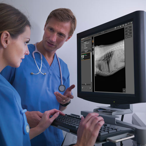 Image Suite | Computed Radiography | Carestream